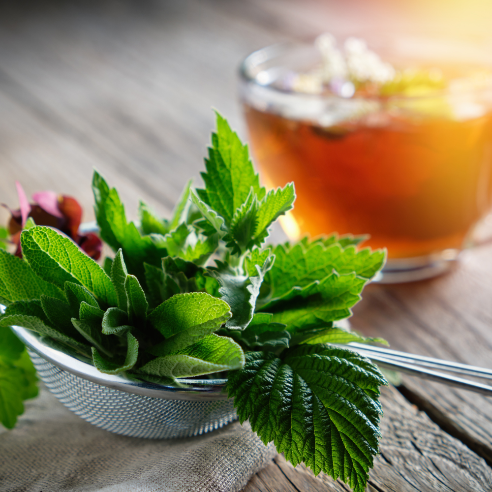 Infusions– Two and A Bud